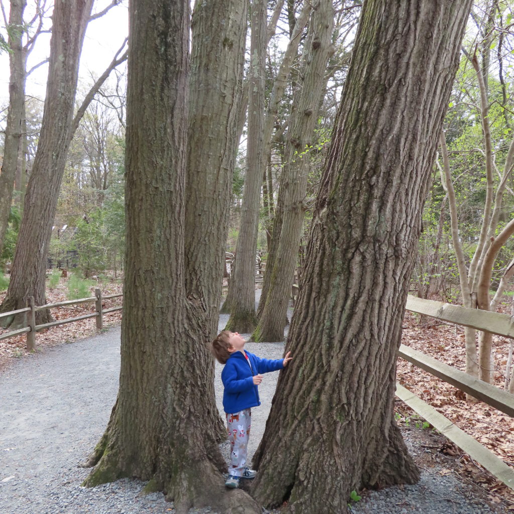 Trailside Museum and Widowmaker Brewing - Backyard Road Trips