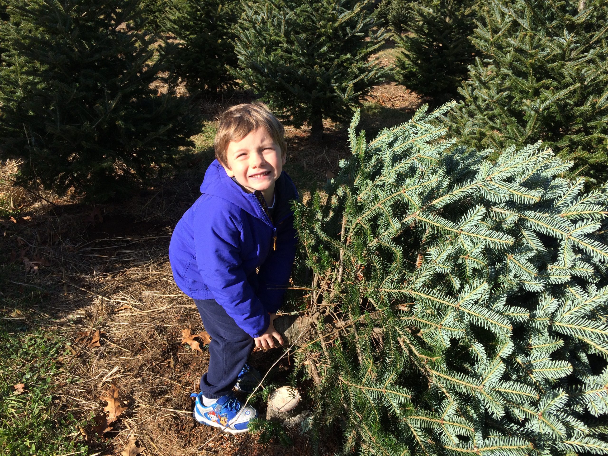 Connecticut Christmastime Events - Backyard Road Trips