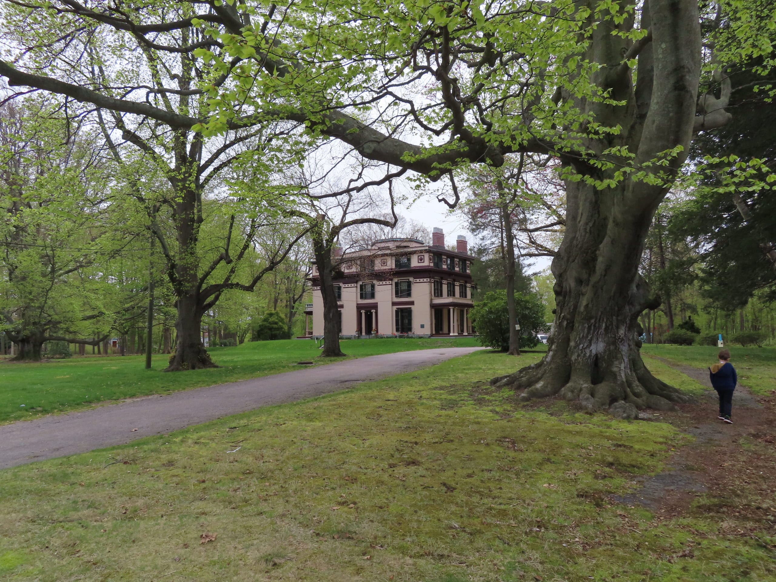 A Day Out in Milton - Backyard Road Trips