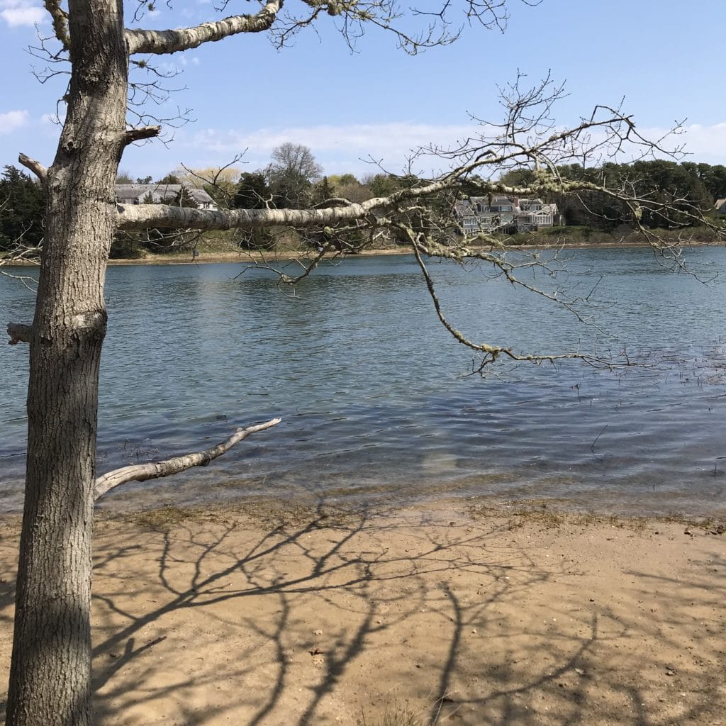 Kent's Point and Other Orleans Favorites - Backyard Road Trips