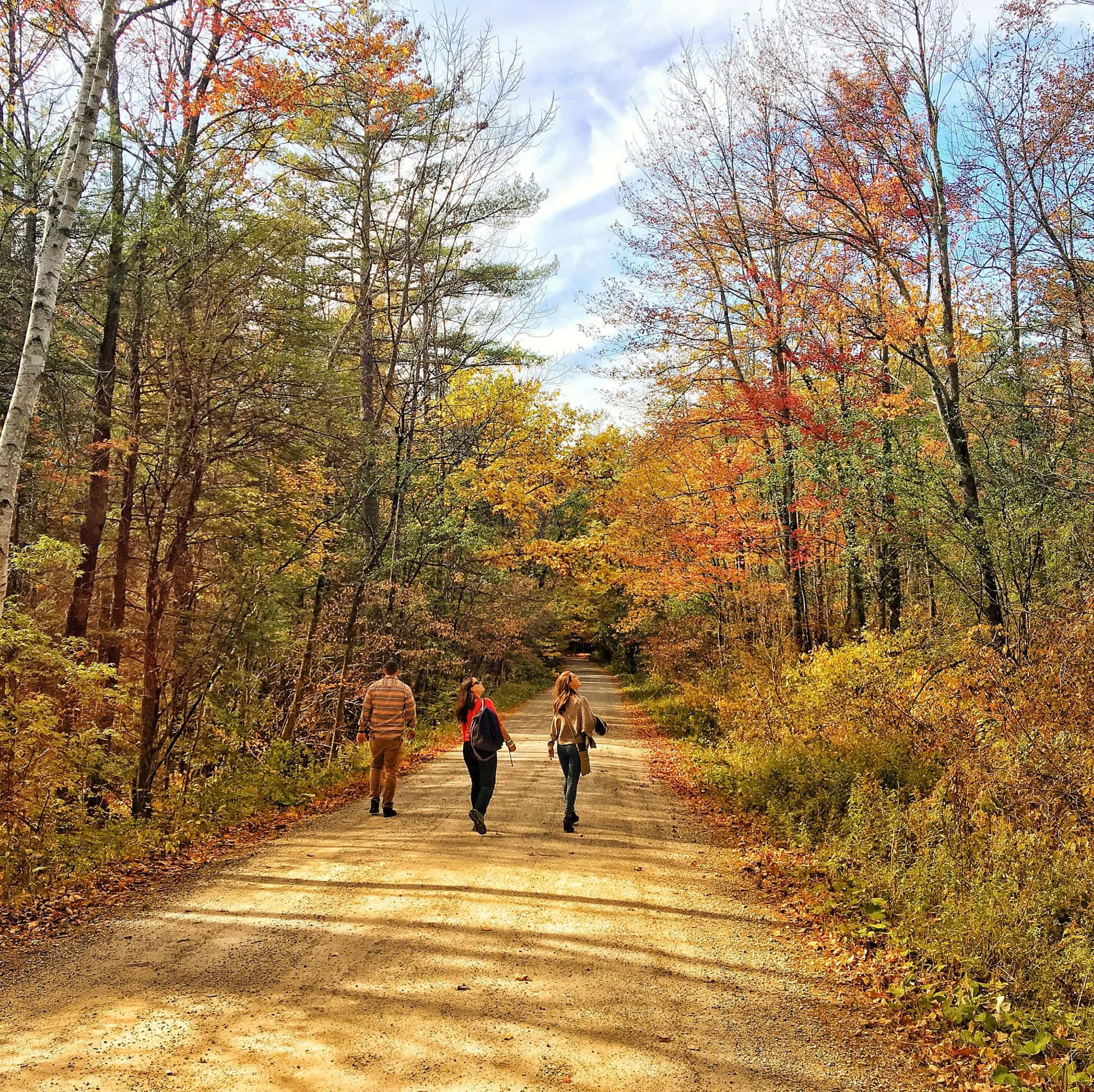 Fall Foliage & Family Hikes: Discovering Autumn in the Berkshires ...